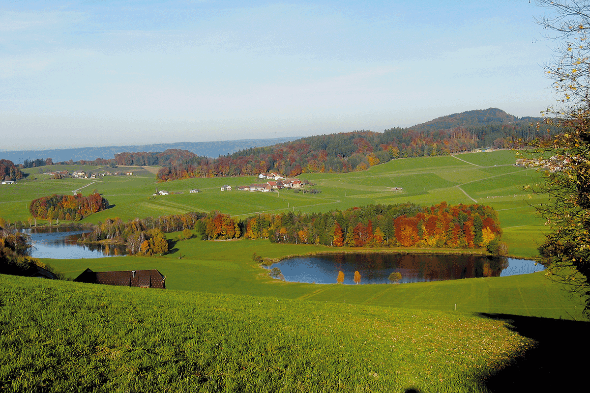 Familien genießen den Naturpark Buchberg | Mamilade Ausflugsziele