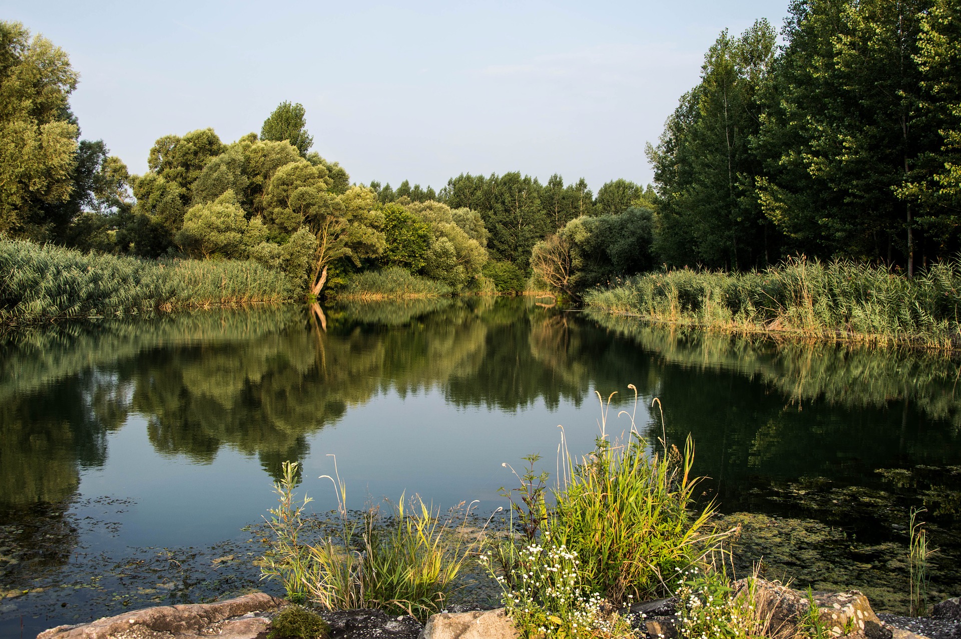 Naturlehrpfad Obere Lobau Wien | Mamilade Ausflugsziele