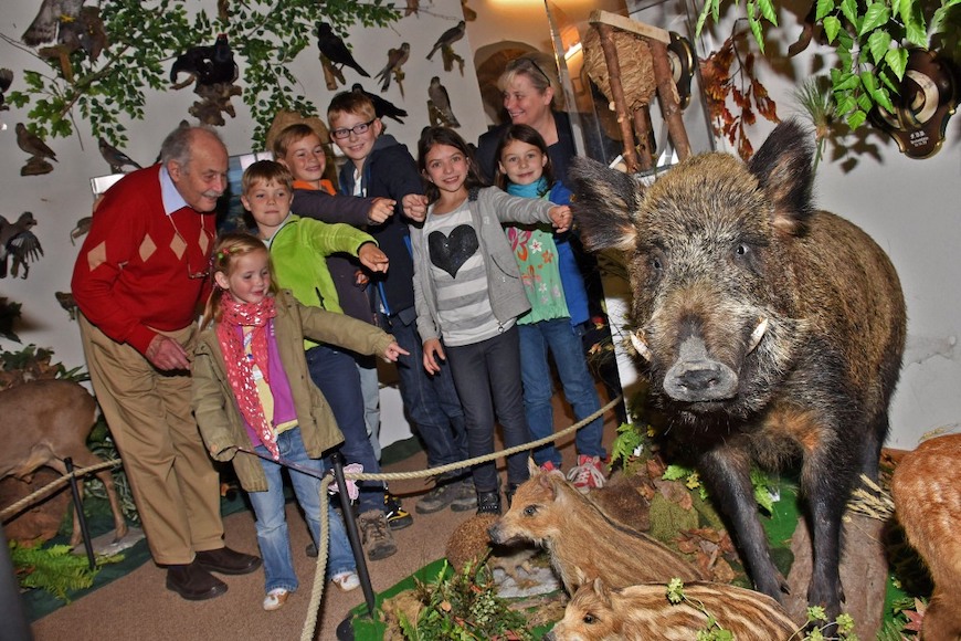 Salzkammergut Tierweltmuseum | Mamilade Ausflugsziele